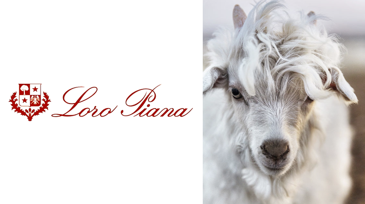 LORO PIANA (精华篇) | 顶奢羊绒品牌成功之道，除了贵，可学的还有很多 - 知乎