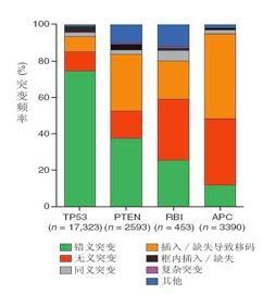 TP53基因突变与药物（一） - 知乎