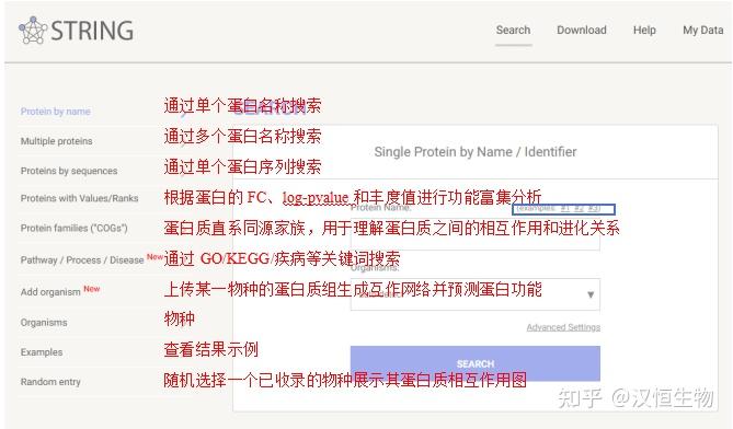 常用网站介绍|蛋白互作数据库STRING - 知乎