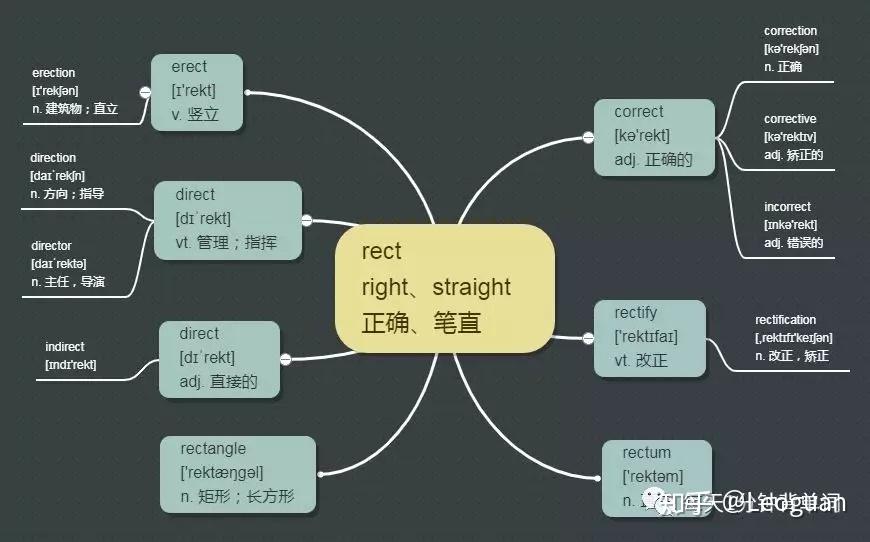 每天1分钟背单词 词根 rect - 知乎