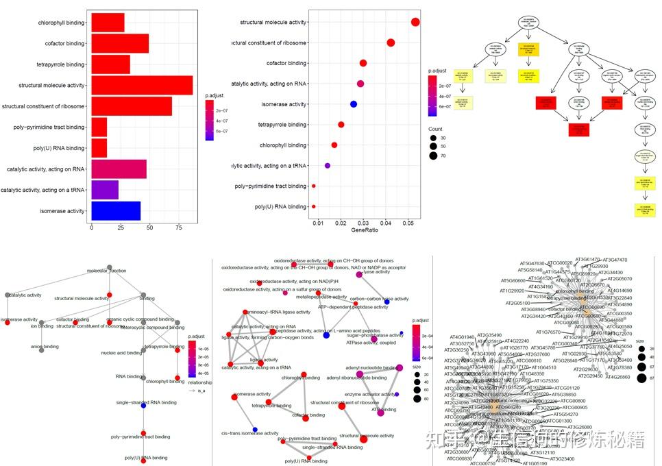 GO、KEGG富集分析（一）有参情况 - 知乎