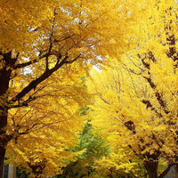 H3C PPPoE基本配置实验 - 知乎