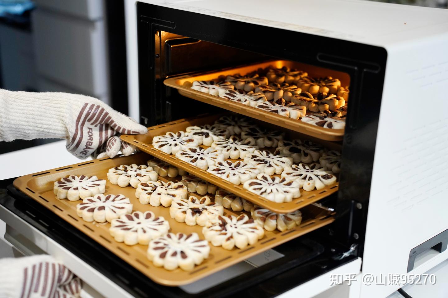 买前必看！实测长帝大白鲸s1pro烤箱升级在哪？值不值得入手？ - 知乎