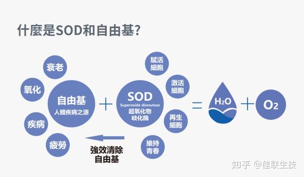SOD | 保持年轻健康的活力之源！ - 知乎