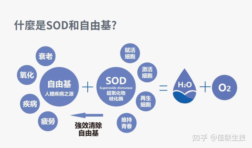 SOD | 保持年轻健康的活力之源！ - 知乎