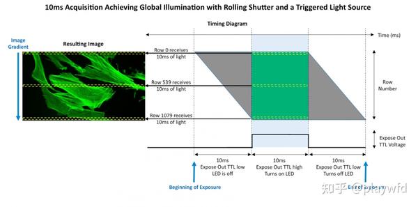 Rolling vs Global Shutter - 知乎