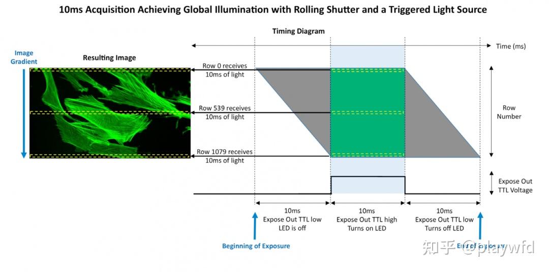 Rolling vs Global Shutter - 知乎