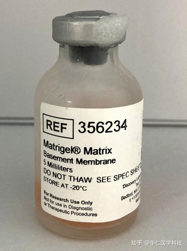 从青铜到王者，科研小白的进阶之路（5）——Transwell细胞侵袭实验教程 - 知乎