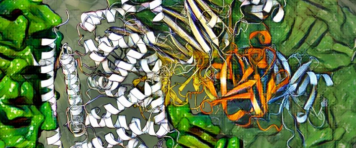 Nat. Commun. | 蛋白质-蛋白质相互作用的层次图学习 - 知乎