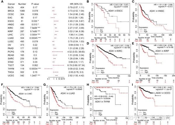 8+！双基因ADA1 和 ADA2的泛癌分析 - 知乎