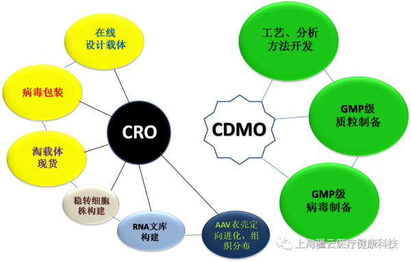 药研CXO选哪家 | 广州云舟生物/载体家 ：基因递送质粒和病毒在线DIY设计、国际化全链条CRO/CDMO - 知乎