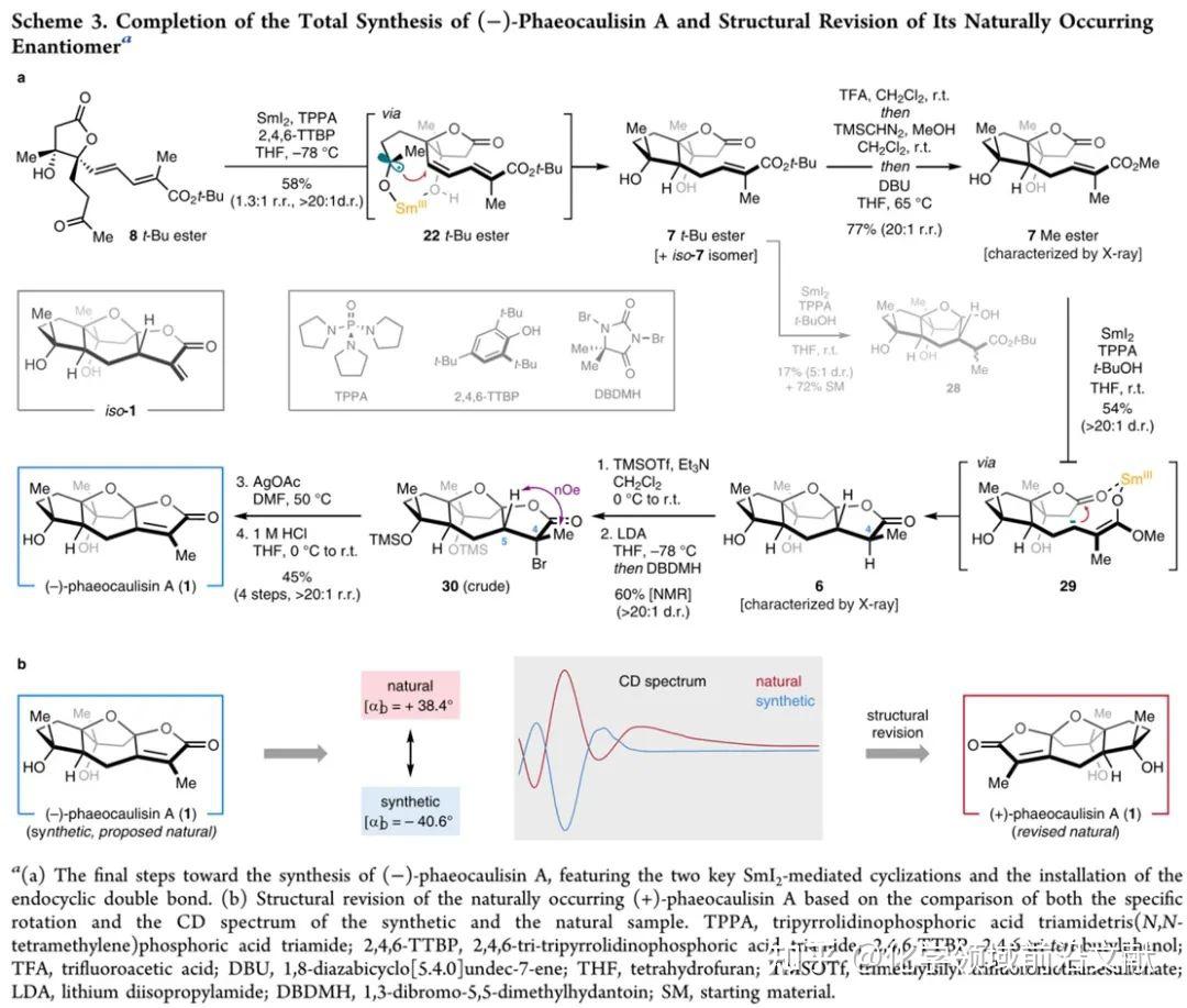 二碘化钐介导的环化反应：(−)-Phaeocaulisin A的首次全合成 - 知乎