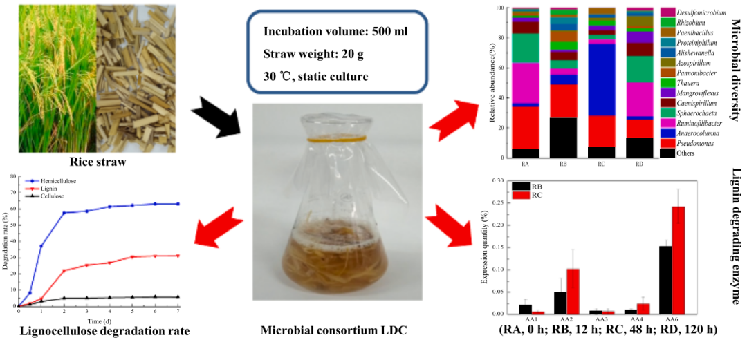 重要通知：派森诺宏转录组云分析可视化系统即将上线！ - 知乎