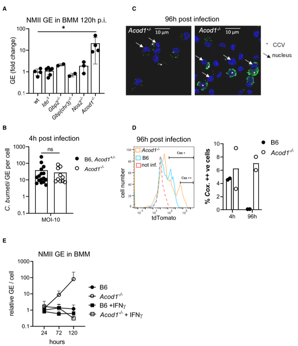 EMBO Mol Med丨14分丨巨噬细胞通过 ACOD1-衣康酸途径抑制伯氏柯克斯体以遏制 Q 热 - 知乎