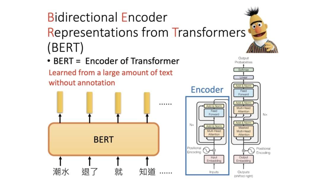 Nlp Backbone Bert模型(中) 开启nlp新篇章预训练模型 知乎