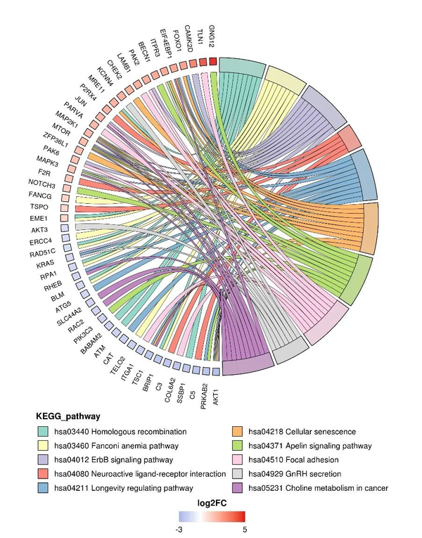 生信分析系列干货 | 蛋白质组学数据挖掘神器 — 功能富集分析 - 知乎