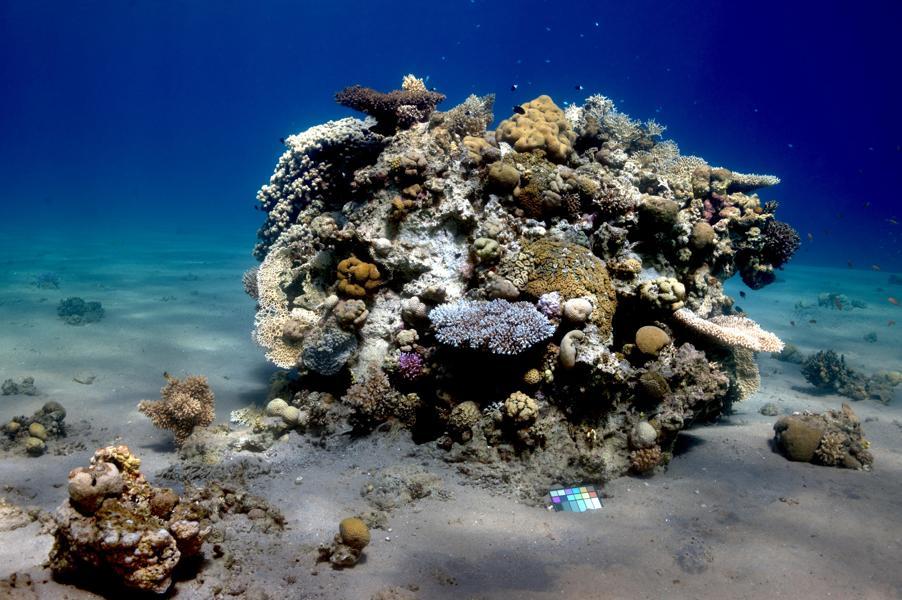 关于 CLAHE 的理解及实现 - 知乎