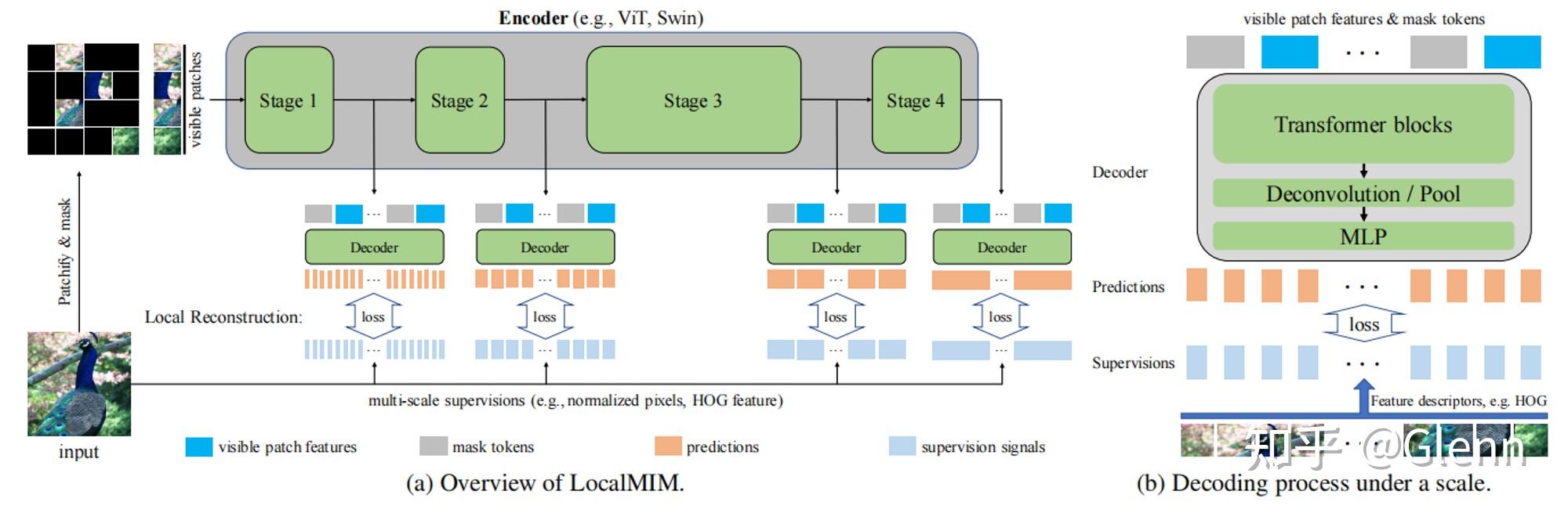 [论文阅读] MIM | DeepMIM：将 Deep Supervision 引入掩蔽图像建模 - 知乎