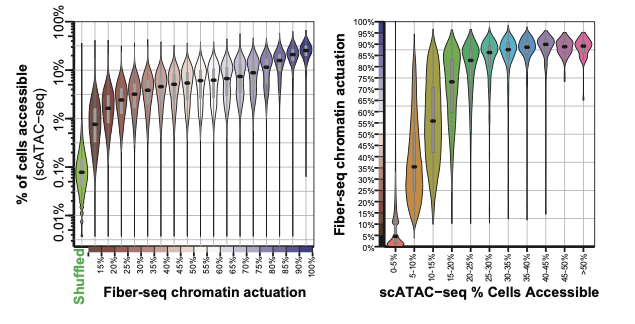 贝瑞基因深度解析：表观研究新宠Fiber-seq，凭什么脱颖而出？ - 知乎