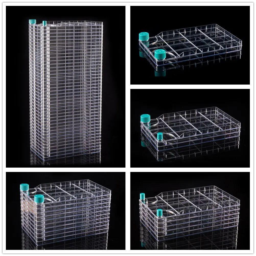 第一期 | 大规模细胞培养——细胞工厂 - 知乎