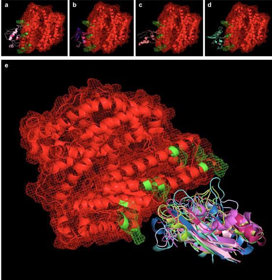 固相多肽合成在研究和生物制药开发中的应用 - 知乎