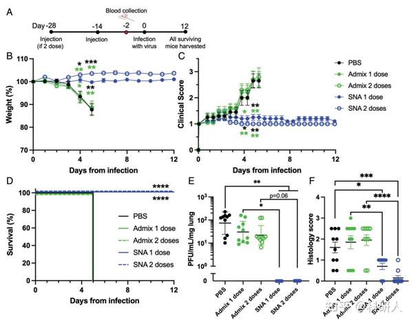 PNAS：球形核酸作为传染病疫苗平台 - 知乎