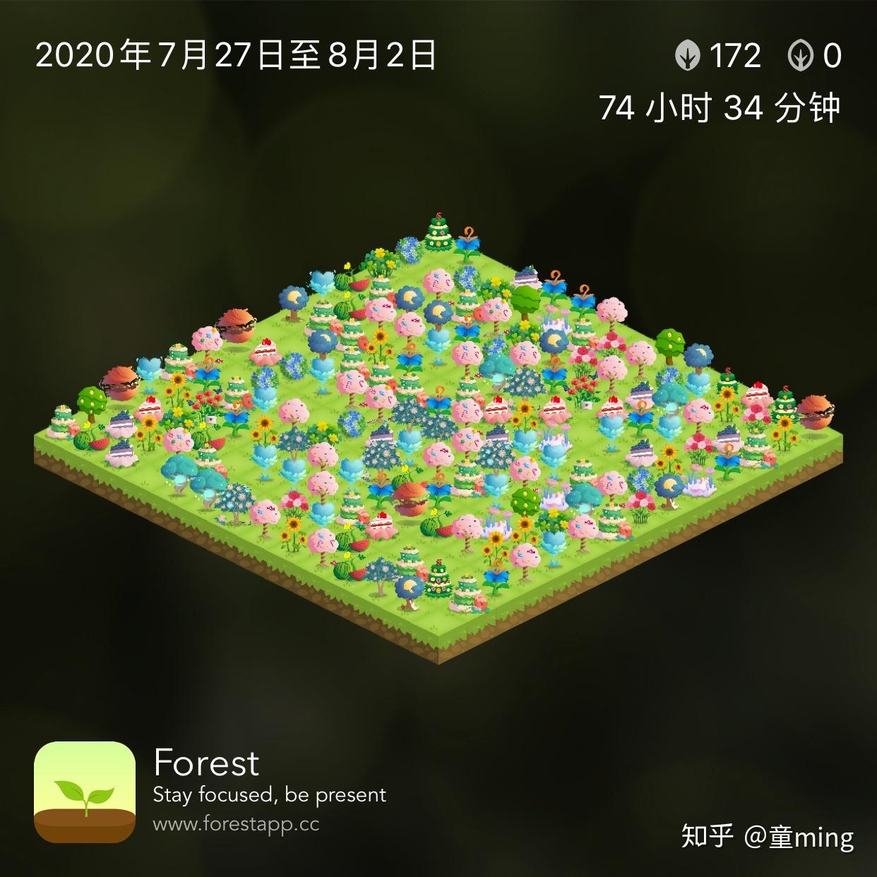 用forest种树怎样搭配最好看？ - 知乎