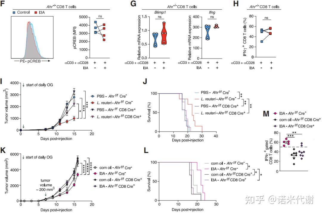 【Cell】色氨酸临床实验如何设计？顶刊带你一探究竟！ - 知乎