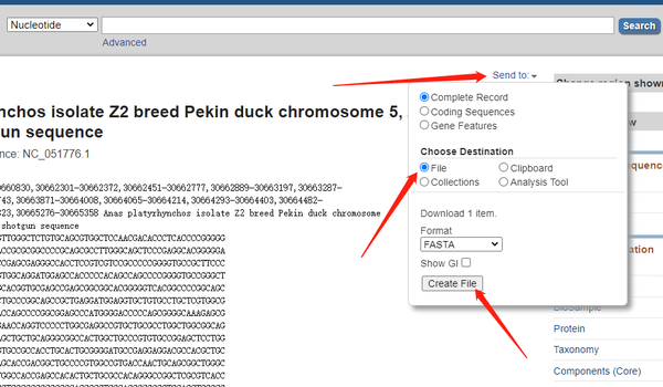 如何从NCBI下载目的基因的mRNA序列（保姆级教程） - 知乎