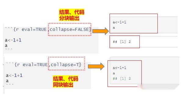 Rmarkdown学习-code chunk程序代码块 - 知乎