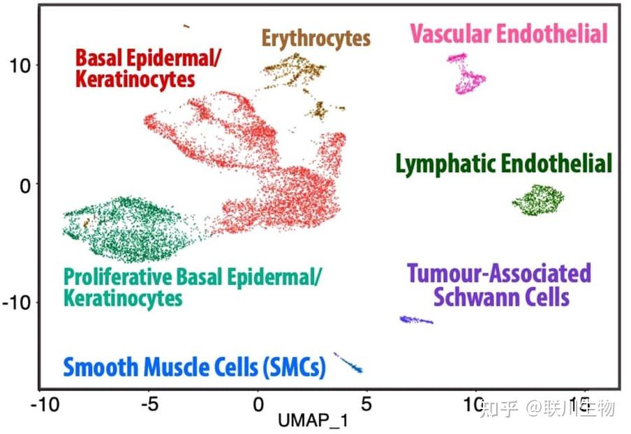 【干货】高分SCI要用tSNE还是UMAP？ - 知乎