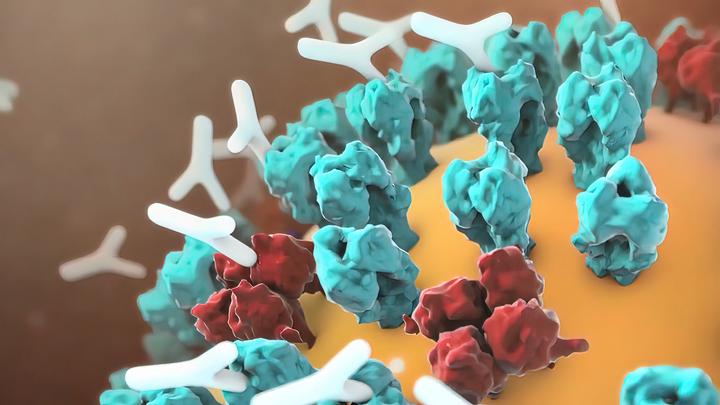 突破抗体设计瓶颈：RosettaAntibodyDesign (RAbD) 计算框架 - 知乎