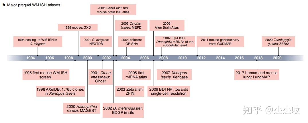 热点综述 | Nature子刊：Museum of spatial transcriptomics - 知乎