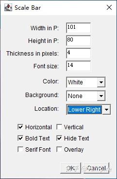 科研技巧|对于非常微小的组织照片,没有标尺参照，只知道像素大小，如何添加Scale Bar? - 知乎