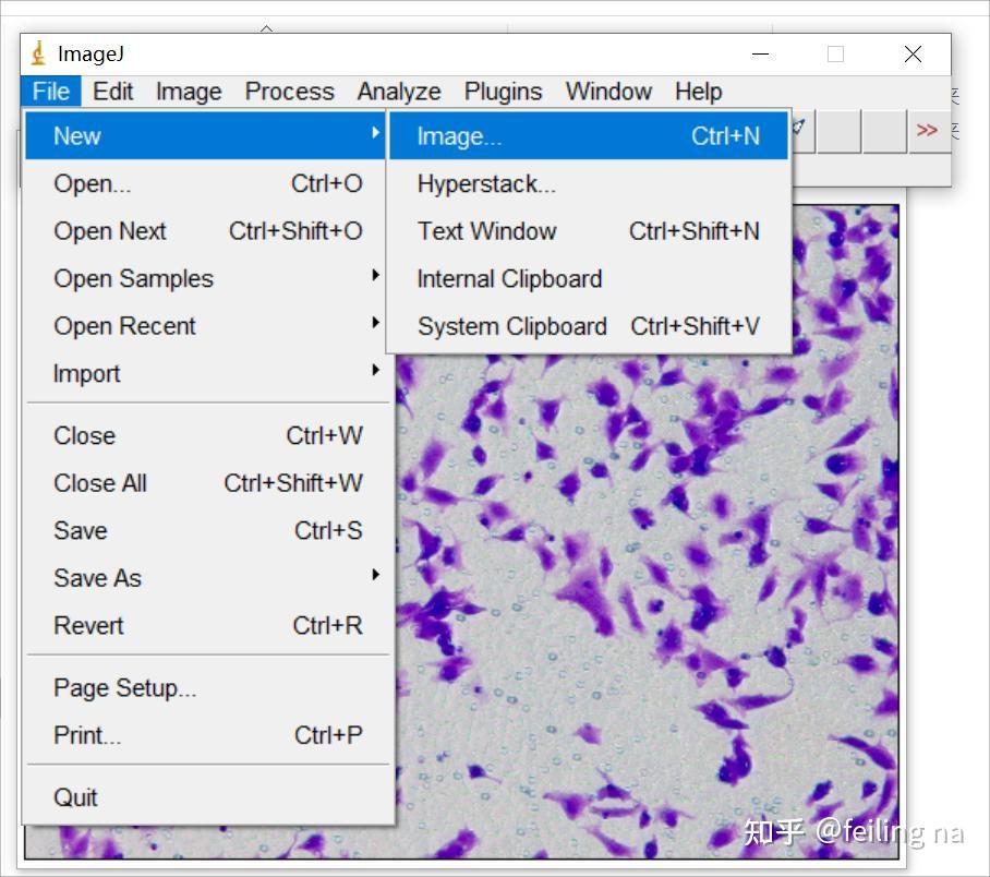有哪些实用的ImageJ使用技巧？ - 知乎