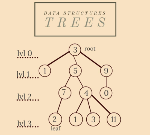 一文带你认识30个重要的数据结构和算法 - 知乎