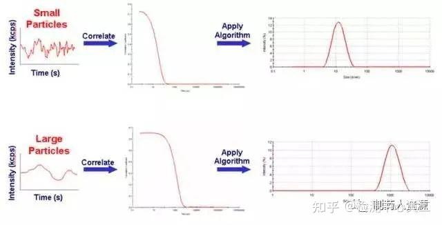 动态光散射(DLS)-粒径测量|武汉铄思百检测