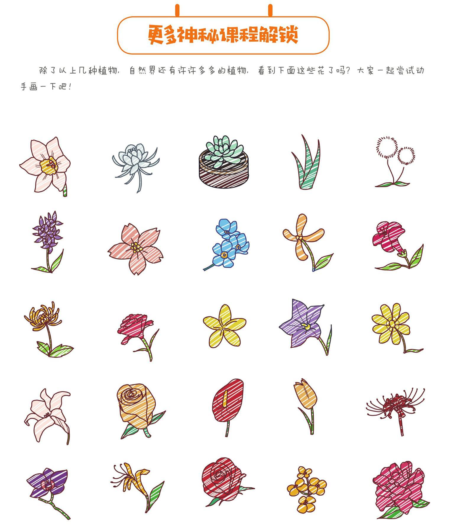 如何零基础自学简笔画？ - 知乎