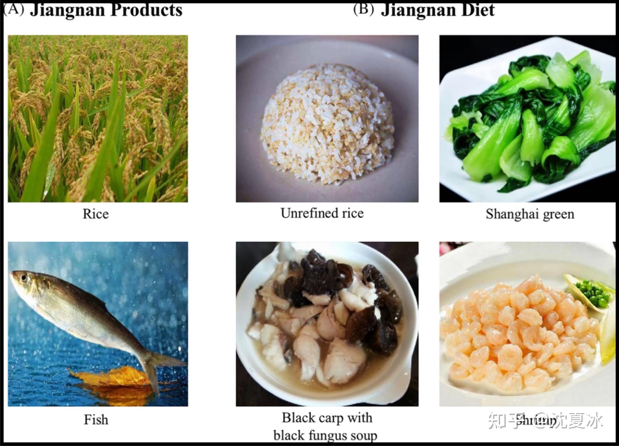 东方健康膳食模式「Eastern healthy diet pattern」 浅析 - 知乎