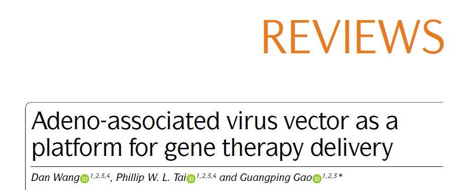 Nature综述：AAV如何成为基因疗法的首选载体 - 知乎