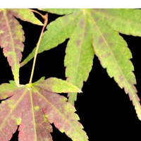 THB（85℃85%RH）,BHAST,UHAST是哪三种测试方法？ - 知乎