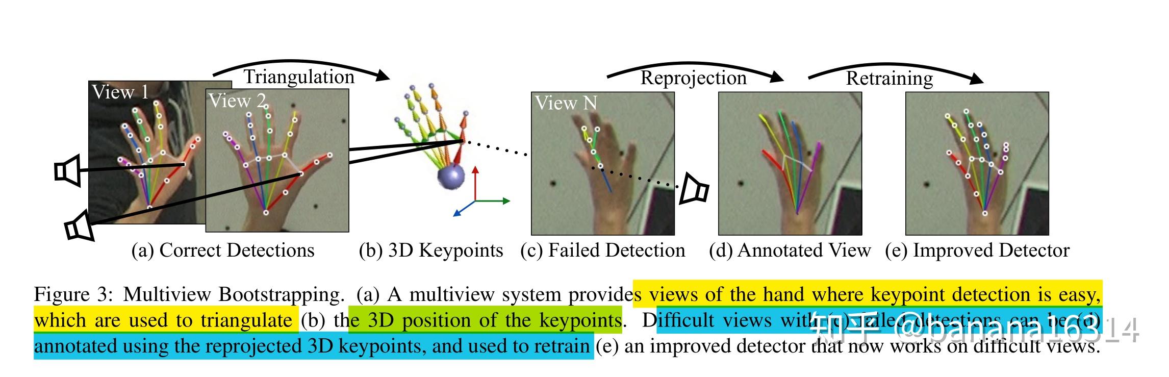 16 Hand Keypoint Detection Multiview Bootstrapping 知乎