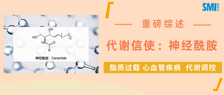 重磅综述丨Nat Metab代谢信使：神经酰胺 - 知乎