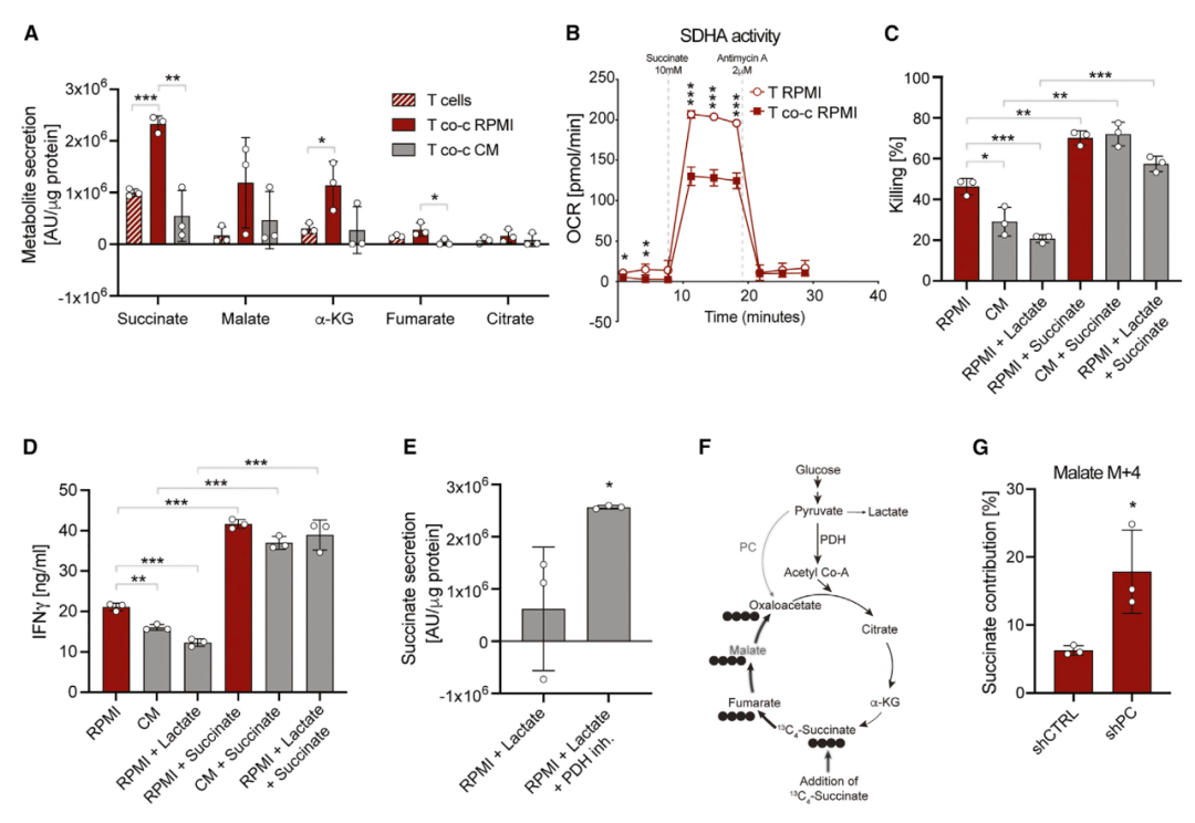 Cell Metab 丨 靶向肿瘤微环境中CD8+T细胞代谢的治疗潜力 - 知乎