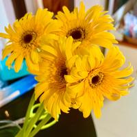 第二代Low DK（低介电常数材料，Low Dielectric Constant） - 知乎