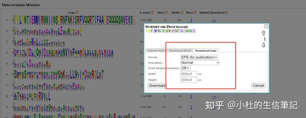 基于TBtools做基因家族分析教程 （全） - 知乎