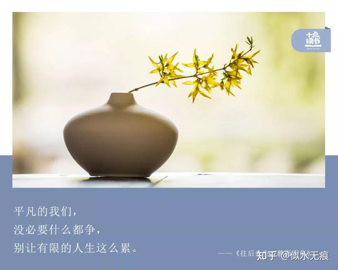 静而不争 知乎