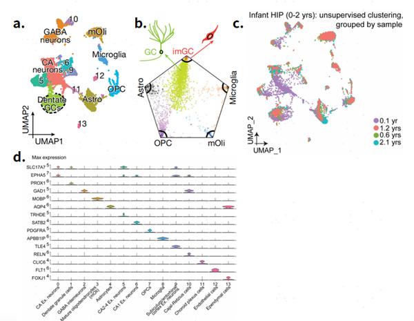 Nature | 单细胞核测序揭开阿尔兹海默症的神秘面纱 - 知乎