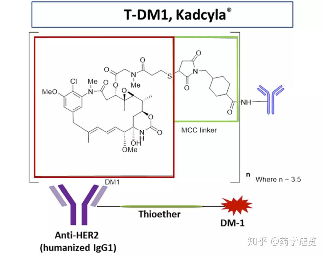 从头学习抗体药物偶联（ADC）（第二期：ADC发展历程与总结） - 知乎