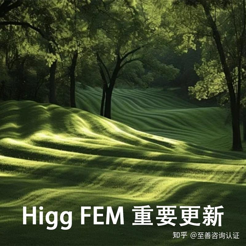 Higg FEM 重要更新 - 知乎